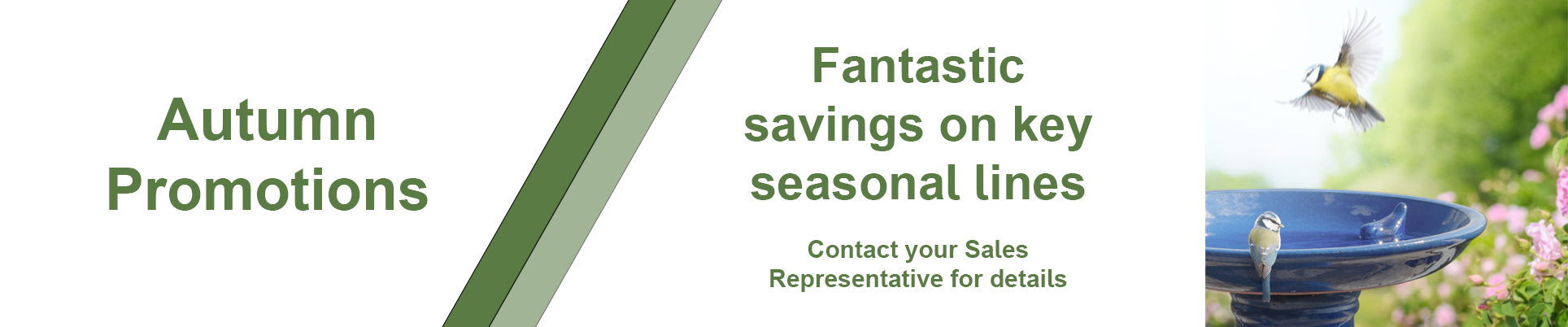 Home - Fallen Fruits Ltd